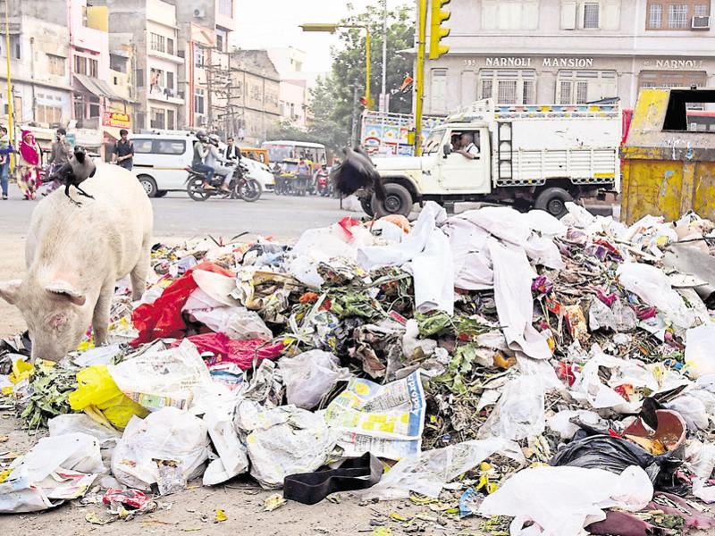 Heaps of garbage accumulate as Jaipur civic body struggles with tenders ...
