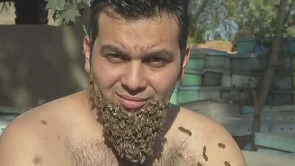 Watch | Man grows ‘bee beard’ | Hindustan Times