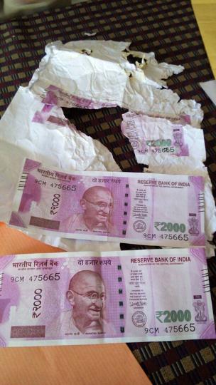 Pathology lab found printing ₹2,000 fake notes in Shahdol, two arrested ...