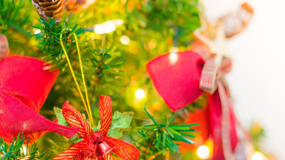 Australia: Deadly tiger snake disguises itself as tinsel on Christmas ...