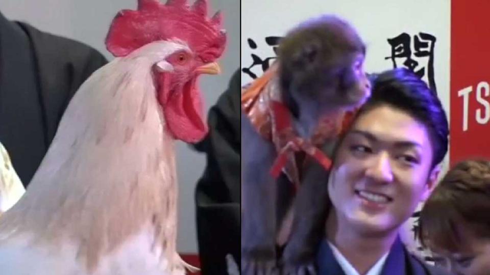 Watch | Japan bids farewell to the ‘Year of the Monkey’ | Hindustan Times