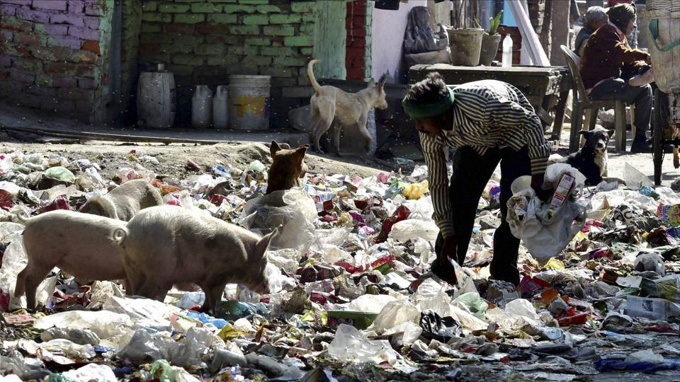 NGT pulls up Centre, Delhi government over garbage crisis in Delhi ...