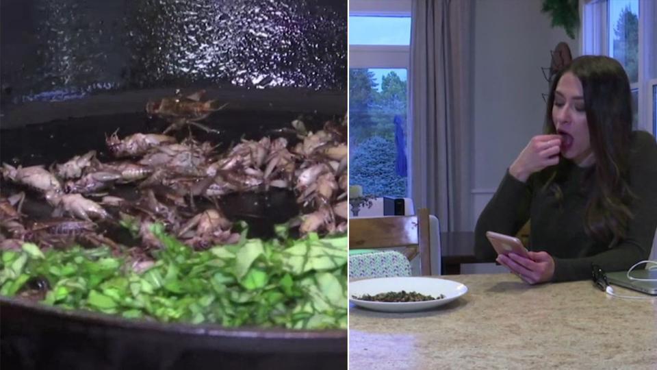 Watch | Crickets for good health? | Hindustan Times