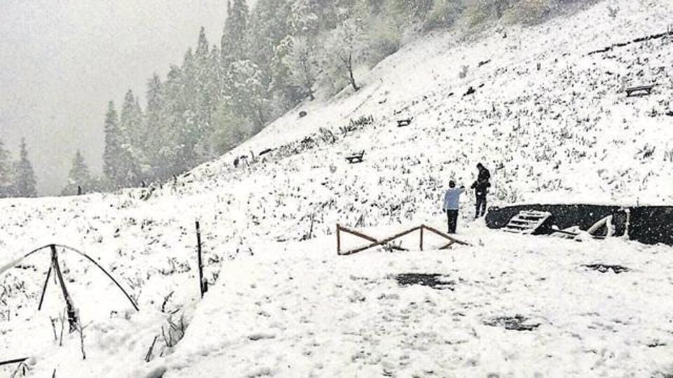 Trek turns fatal: Bodies of Hamirpur NIT students found in snow in ...