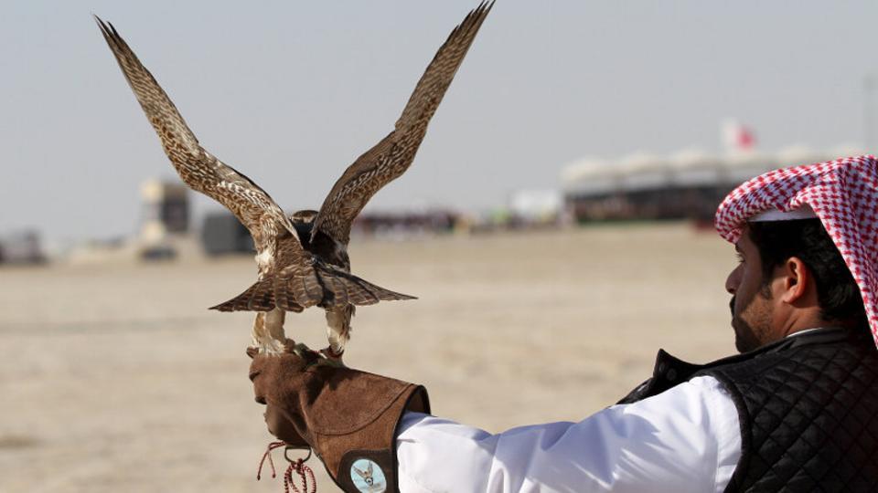 Pakistan villagers attack convoy of Qatar royal hunting rare bird ...