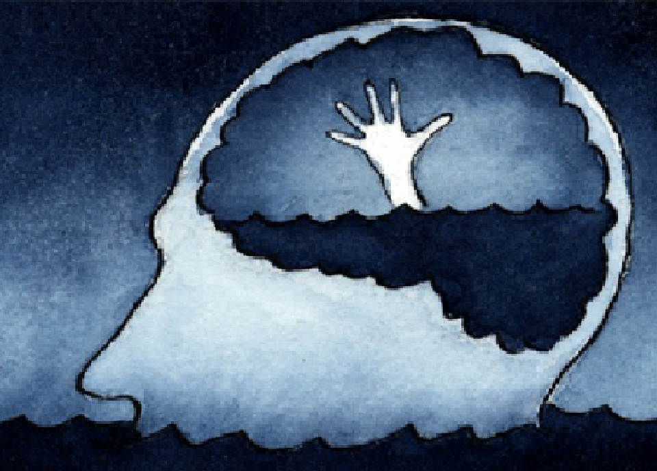 The shape of your brain is responsible for your personality type | Health