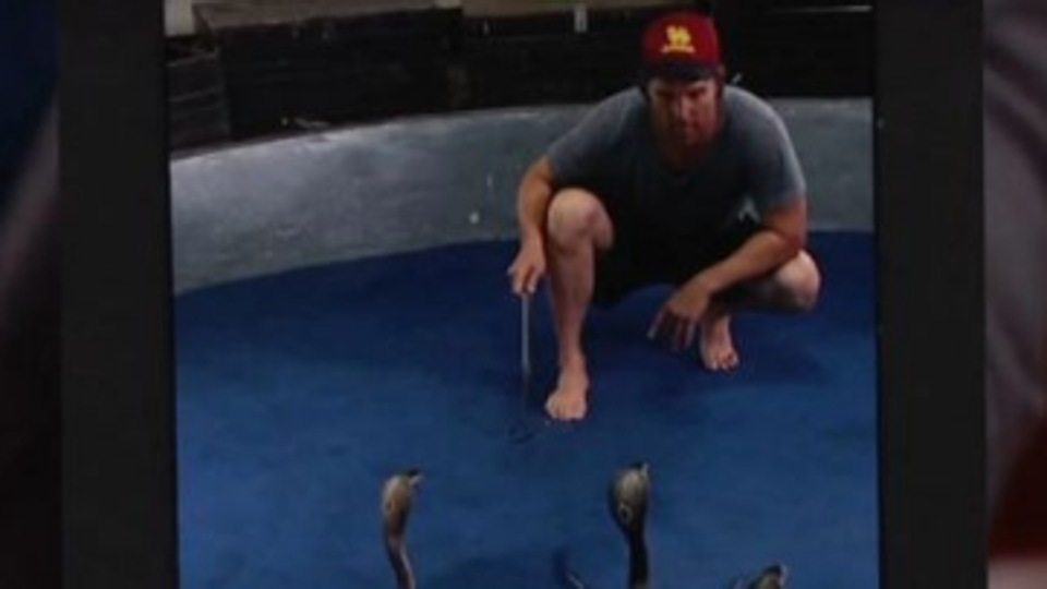 When Matthew McConaughey jumped into a cobra pit in Thailand for fun ...