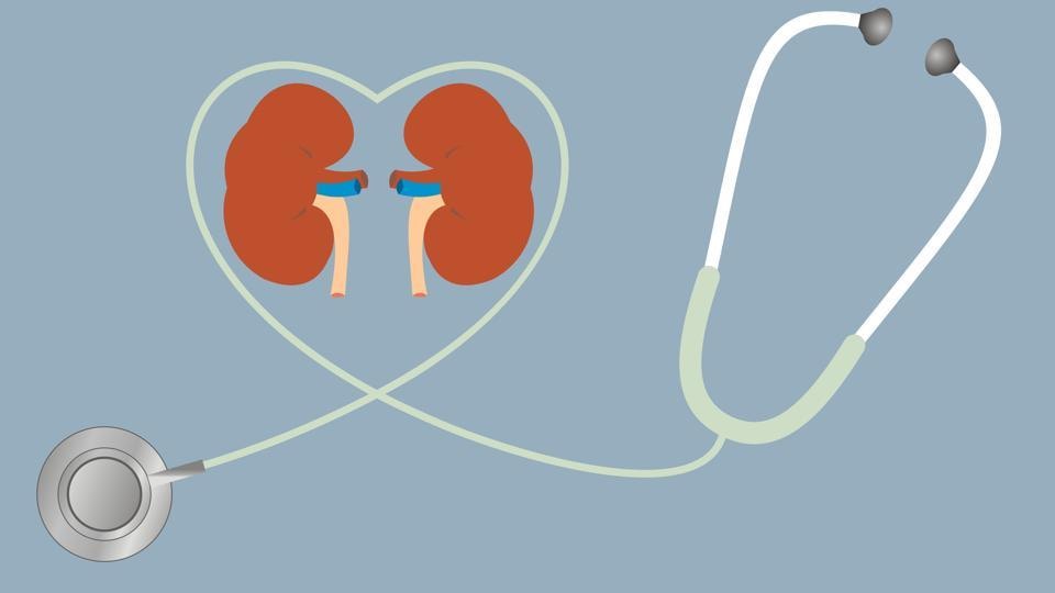 Excess phosphorous causes chronic kidney diseases | Health