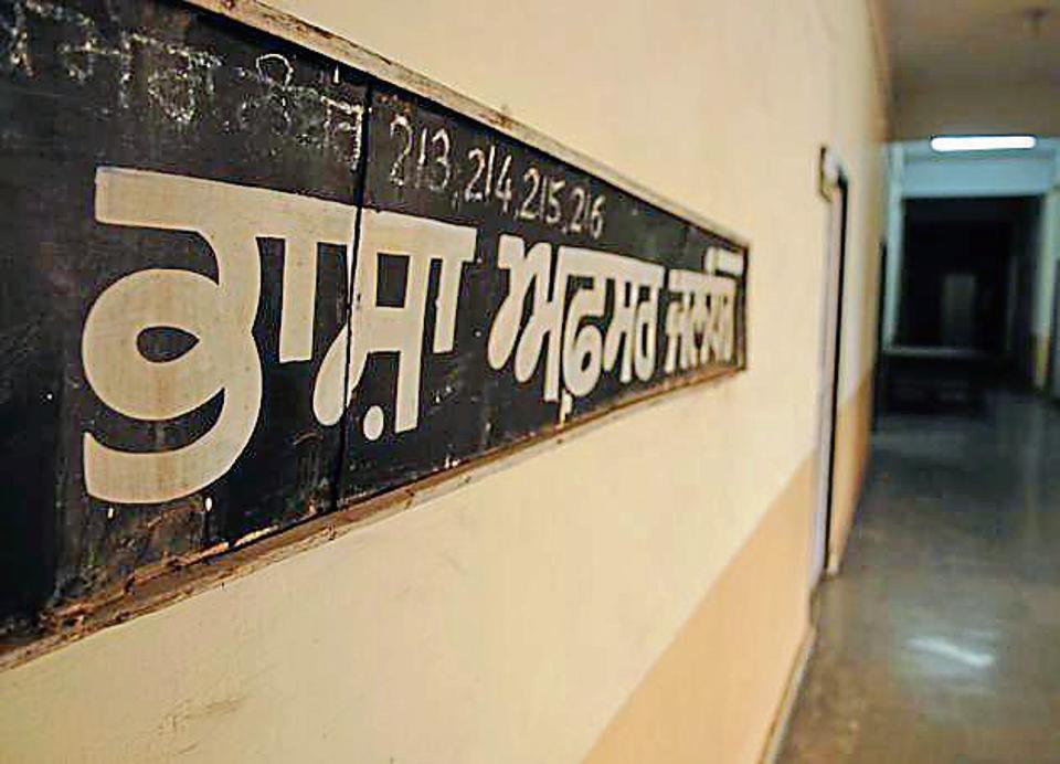 Punjabis Forgetting Punjabi Rich Words Of Language Now Extinct