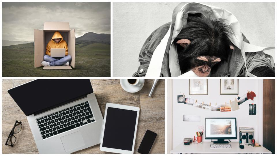 Want to know what your workstation reveals about your personality ...