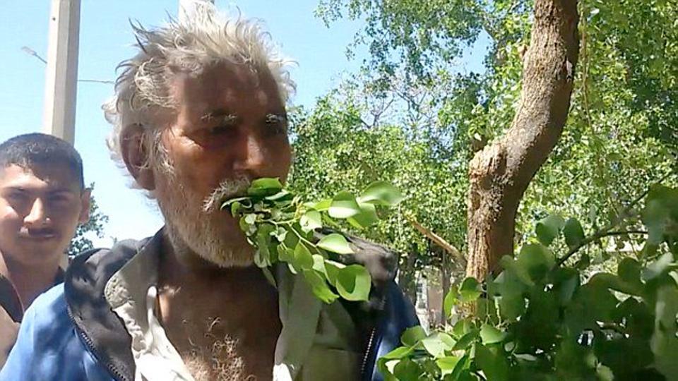 Pakistan: Man eats leaves, fresh wood for 25 years, has never fallen ...