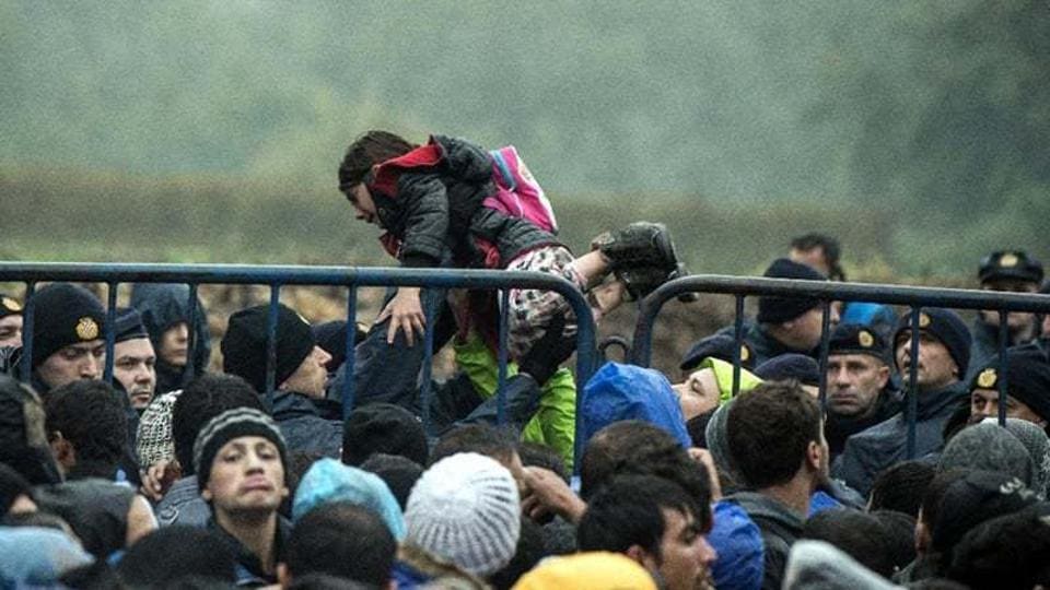 More than 700,000 granted asylum in EU in 2016 | World News