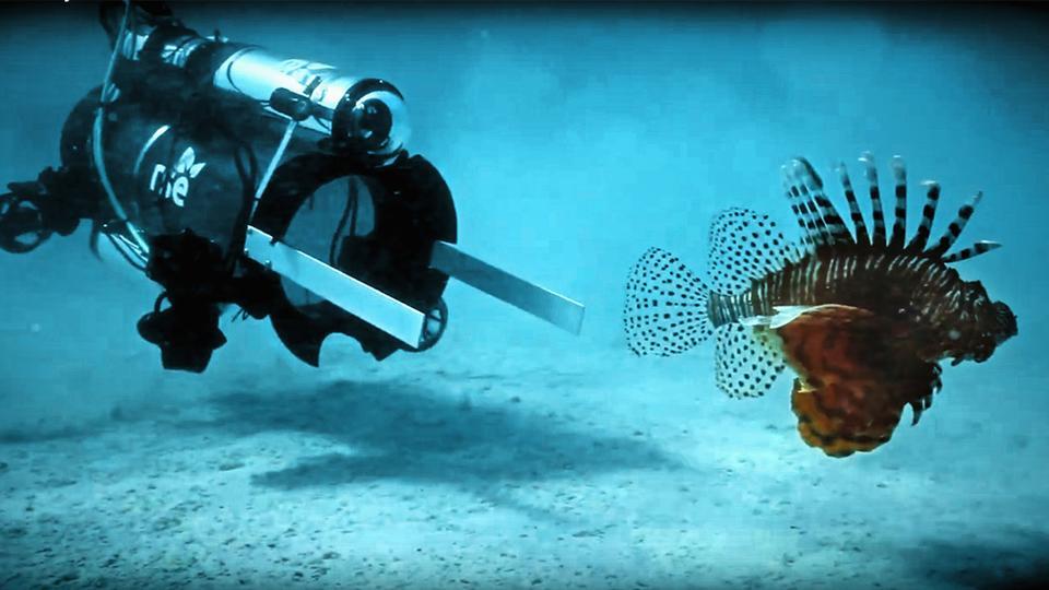Creative and high-tech ways now battle invasive species | Hindustan Times