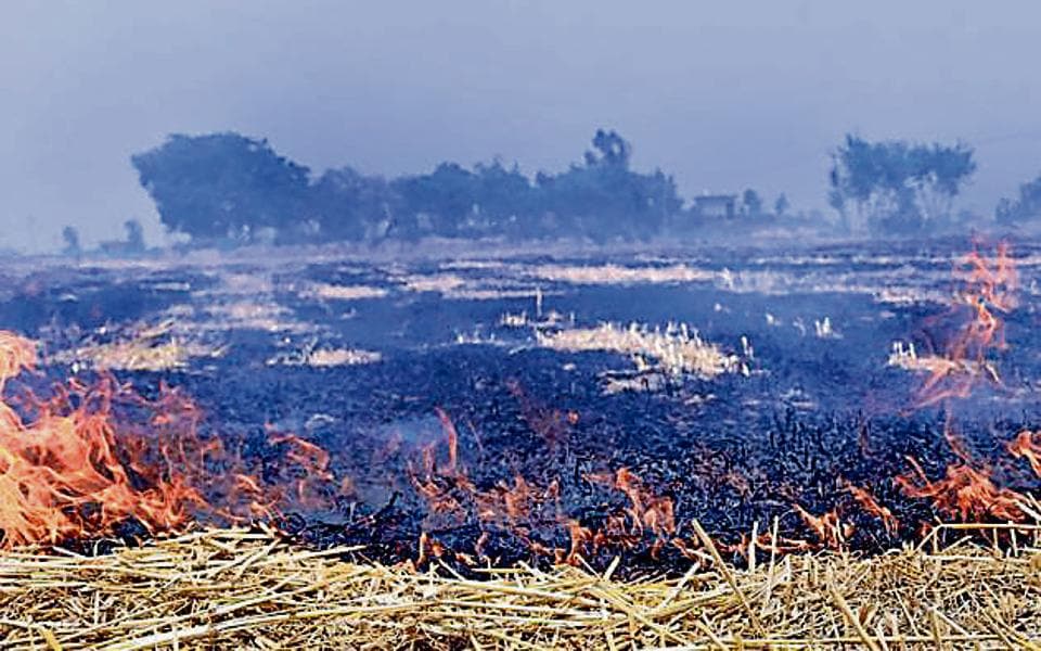 Stubble burning: With over 1,700 cases, Tarn Taran tops the list in ...