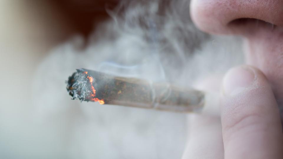 Frequent recreational weed puts your mouth at risk of gum disease ...