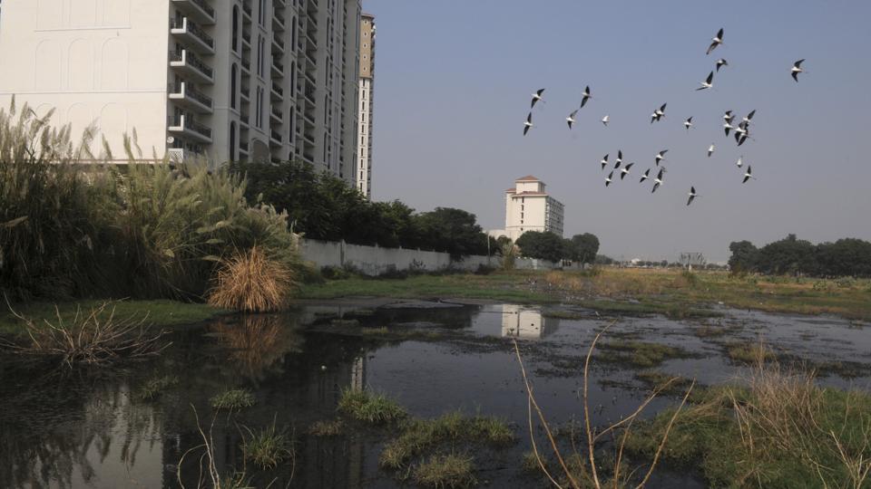 If not tackled urgently, Gurgaon may soon drown in its own sewage ...