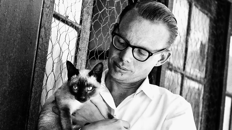 Excerpt: Lone Fox Dancing by Ruskin Bond - Hindustan Times