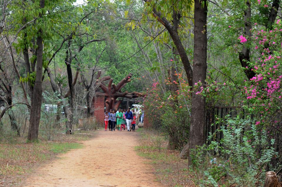 An escape to nature in the backyard of Gurgaon | Hindustan Times