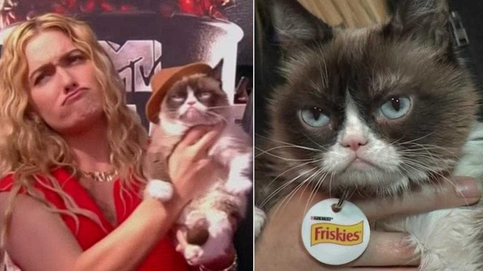 Study reveals cat-human relationship dates back to 10,000 years ...