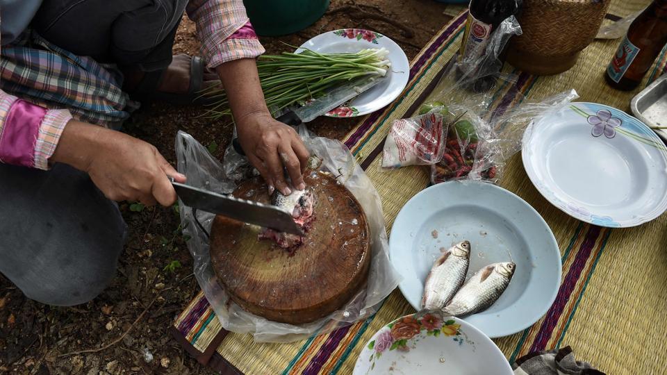Deadly diet: Thailand’s doctors fight cancer-causing fish dish | World News