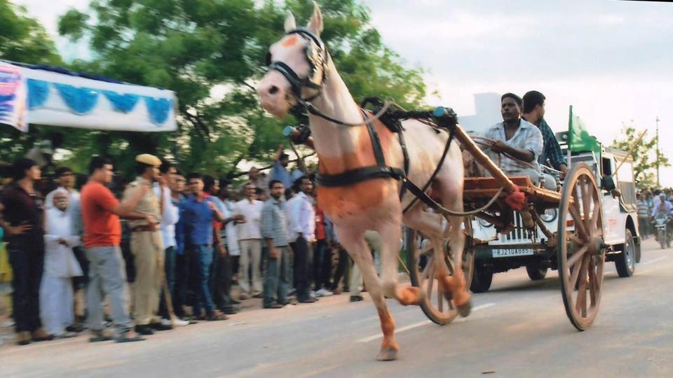 Demand to resume ‘tonga race’ gains momentum in Rajasthan | Hindustan Times
