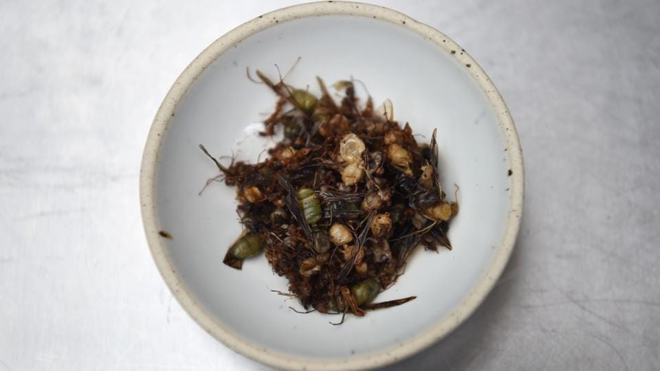 Photos: Insects crawl their way up Thailand’s haute cuisine menus ...