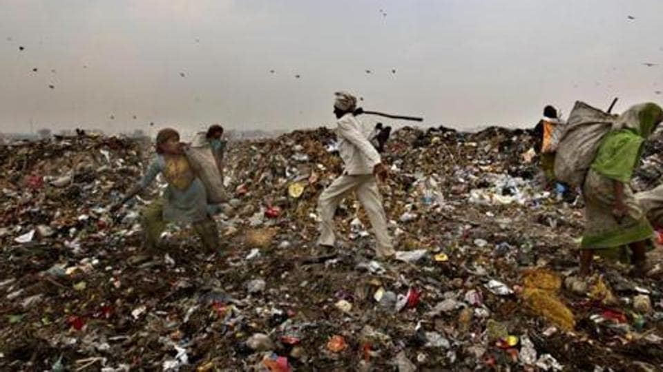 Mountain of trash, stench in the air: Welcome to Delhi’s Ghazipur ...