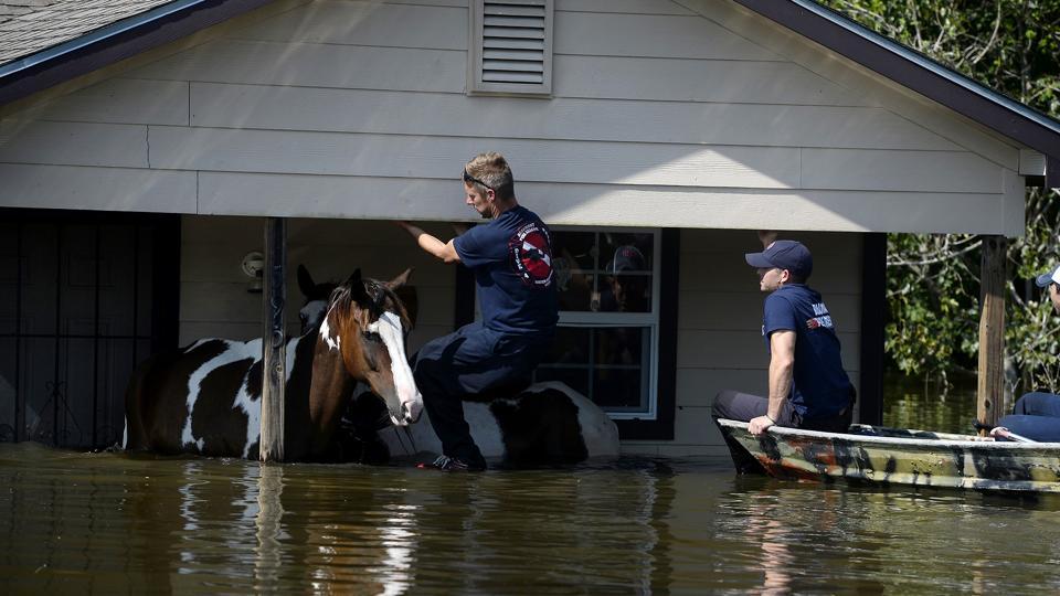 Donald Trump to donate $1 million to flood relief: White House | World ...