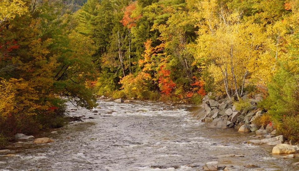 Enjoy the scenic beauty of New England in autumn and shed those kilos ...