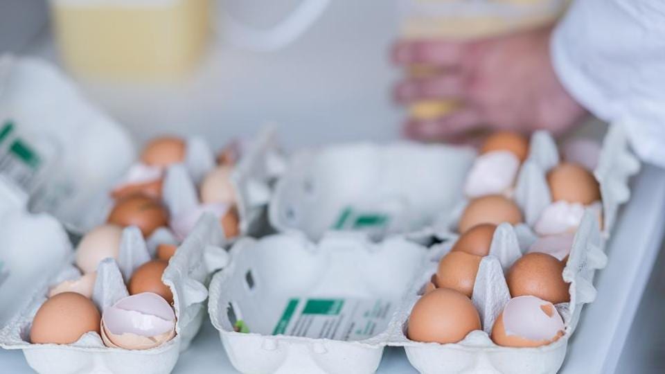 Contaminated eggs can compromise food safety. Here’s how to handle and ...
