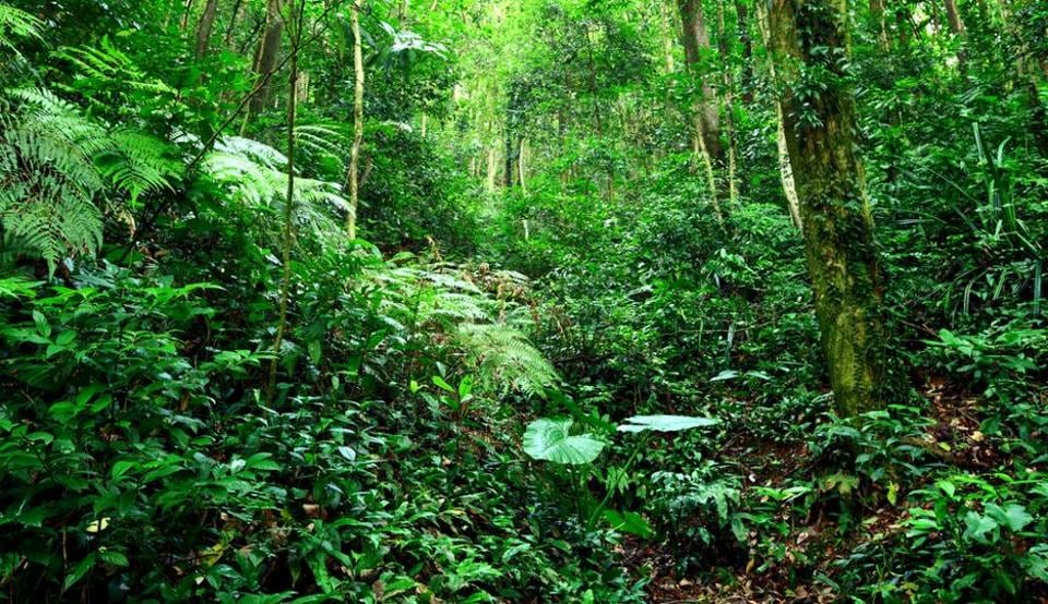 Think you can survive in a remote jungle or desert? This luxury travel ...