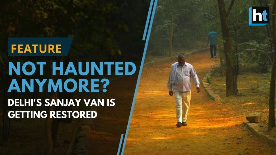 South Delhi’s Sanjay Van is now a birders’ paradise | Hindustan Times