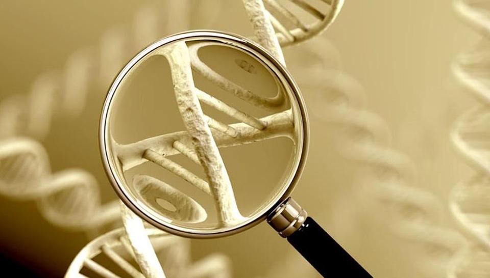 DNA testing: All you need to know about the science, methodology ...