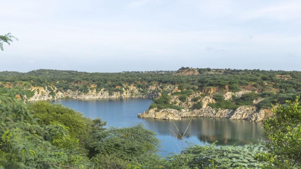 Celebrate and help conserve the Aravalli range with this festival in ...