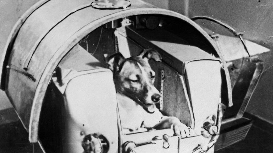 Photos: 60 years to Laika the dog’s journey into space | Hindustan Times