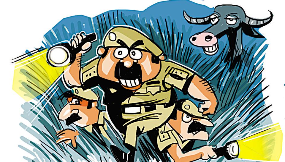Drooping horns, tiny tail: Armed with detailed descriptions, Delhi cops ...