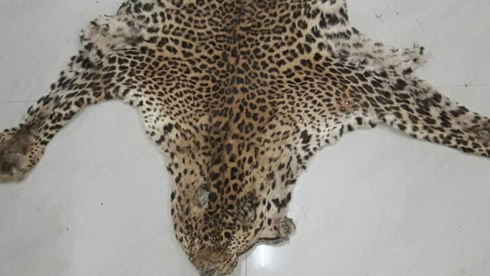 Pangolin, tiger, leopard and rhino were most poached animals in India ...