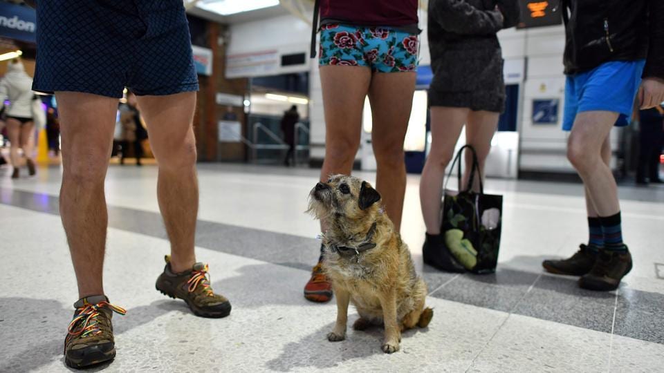 Photos: Commuters ditch pants for annual ‘No Pants Subway Ride ...