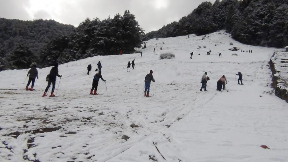 Melting snow waters down Auli Skiing Race plans | Hindustan Times