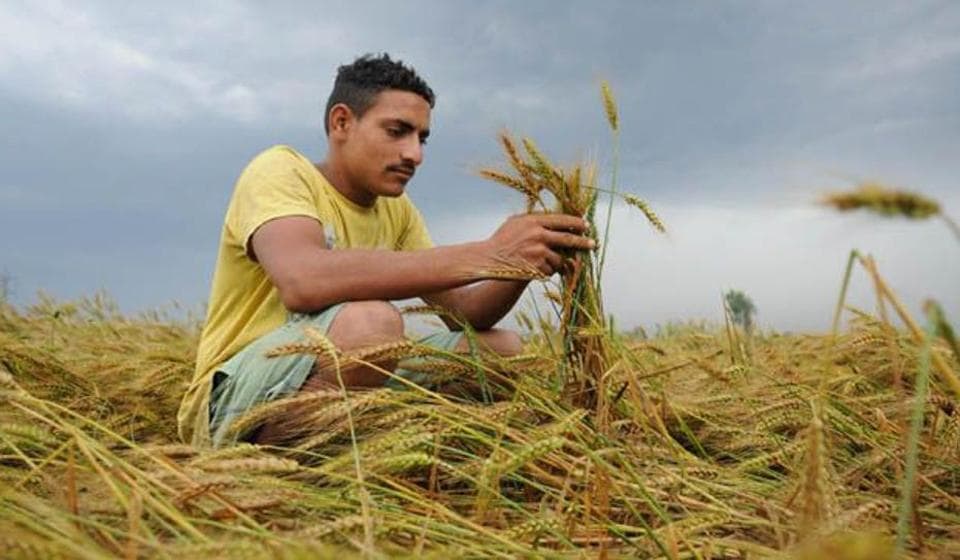 ISRO’s village-level vegetation data to help farmers get crop insurance ...