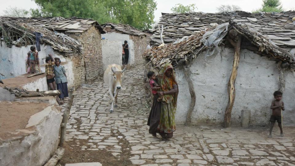 Rajasthan: New ration cards in hand, but no free PDS food packets for ...