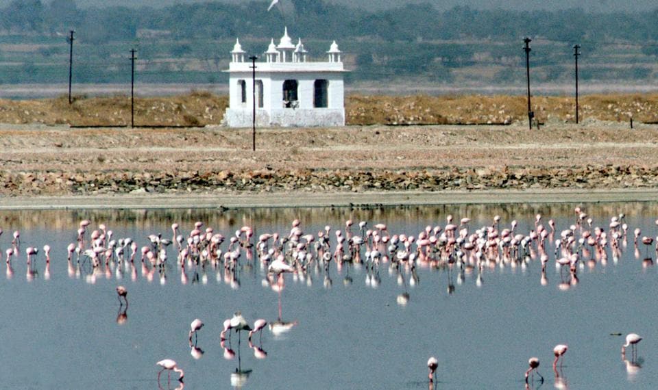 Tourism infrastructure projects in Rajasthan’s Sambhar Lake to be ...