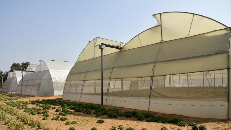 Hi-tech farming: Can Rajasthan make the desert bloom? | Latest News ...