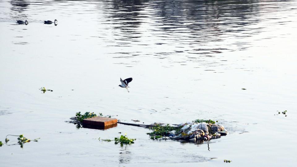 Centre includes Pune rivers Mula, Mutha in its waterways project ...