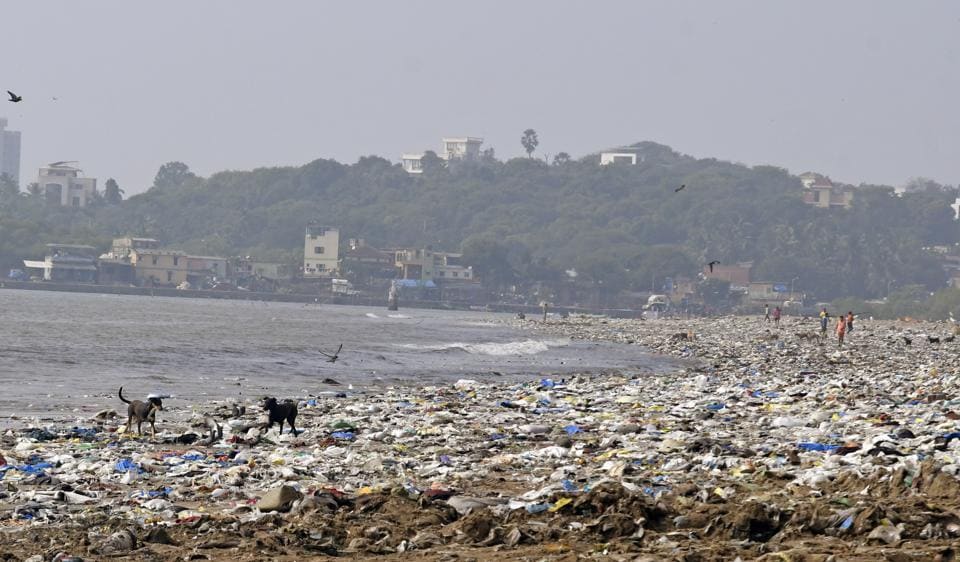 Maharashtra to receive policy to tackle marine litter menace before June 5 | Mumbai news ...