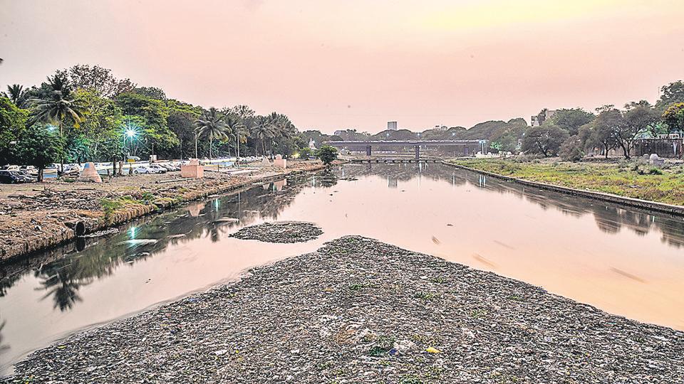 Ecological Survey report: Mutha can get a new lease of life | Hindustan ...