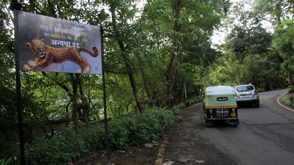 Wildlife fan? Stay up all night at this Mumbai forest to count animals ...