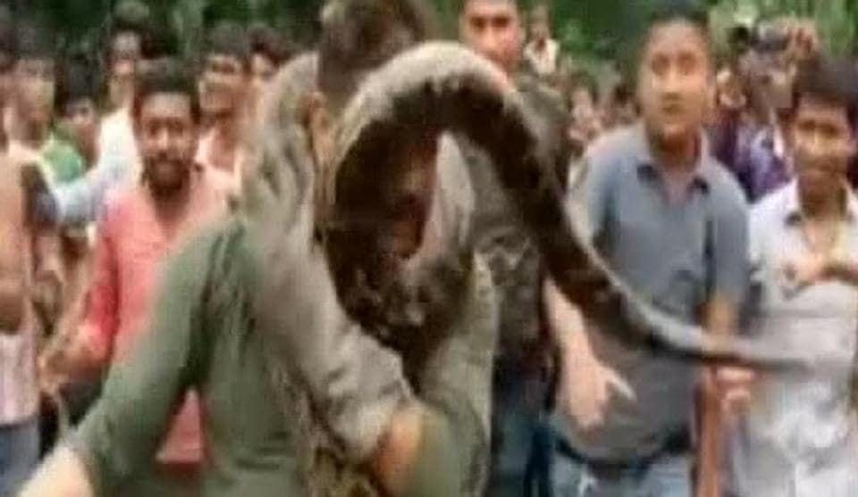Wildlife rescuer’s near-death experience with a python | Hindustan Times