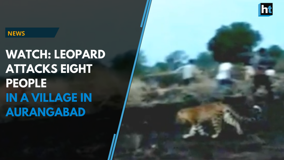 Leopard attacks eight people in a village in Aurangabad | Hindustan Times