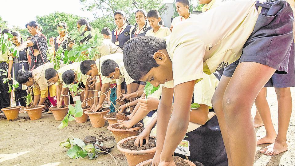 Monday Musings: Go Green Pune, plant a tree with Hindustan Times ...
